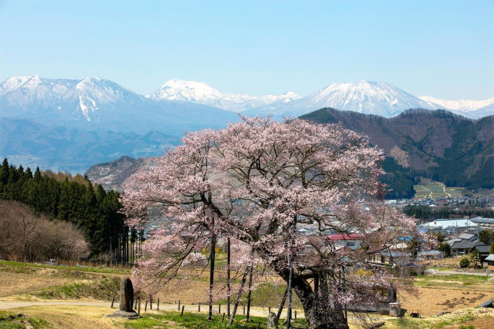 Ryokan Warabino - Nakano