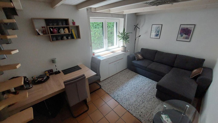 Casa Celeste, Stanza In Appartamento Condiviso - Locarno