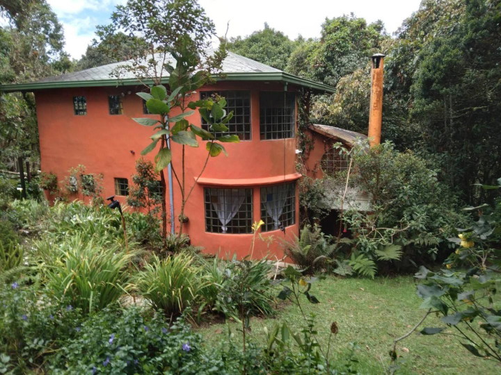 House For 10 In An Oak Forest Santa Elena - Bello, Colombia