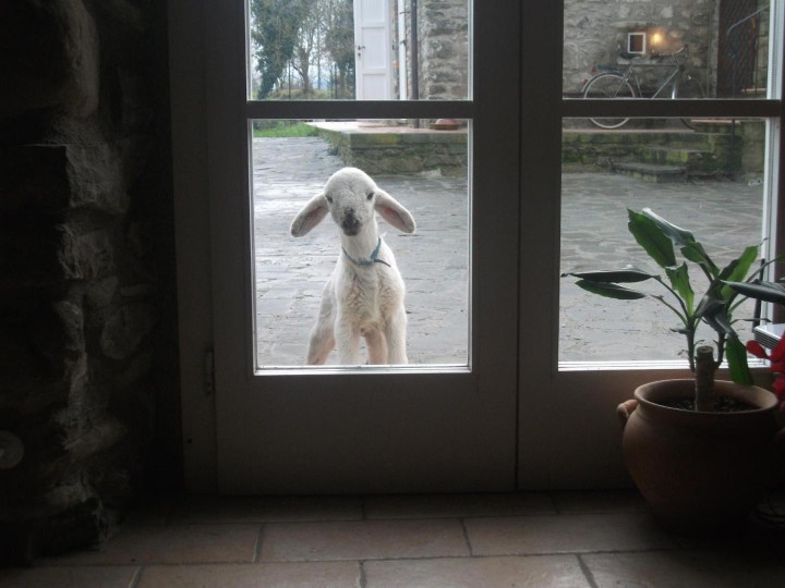 Casa Vacanza Locanda Di Campagna - Pontremoli