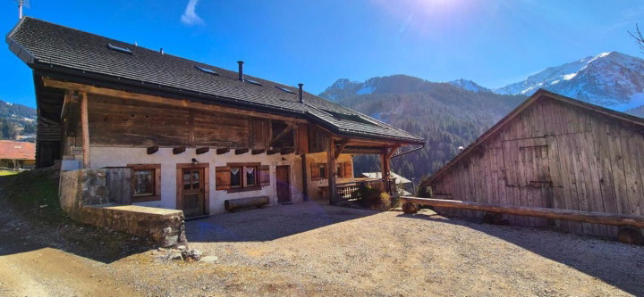 Le Carolien Savoyard - Alp'in C - Les Portes du Soleil