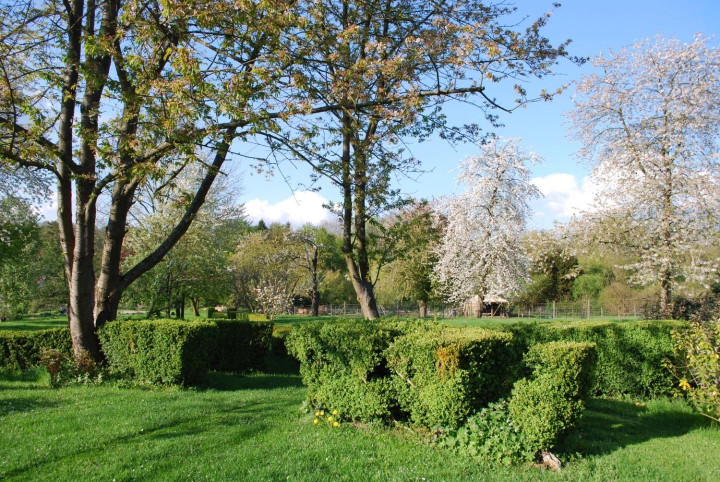 Gites Aux Fleurs De Cerises - Senlis
