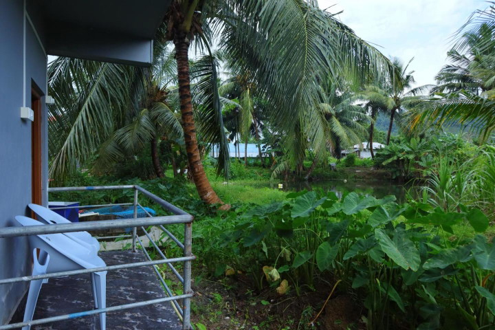 Raindrop Homestay Havelock - Havelock island (Swaraj Dweep)