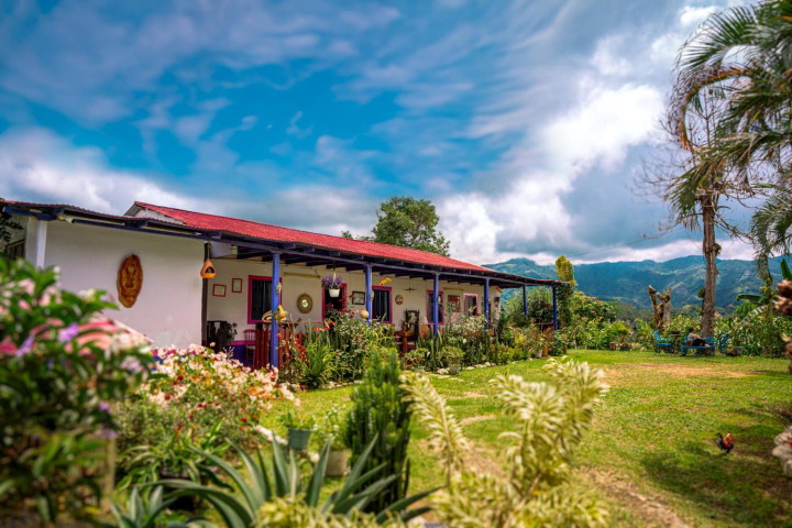 Finca Cafetera Los ÁNgeles - Líbano