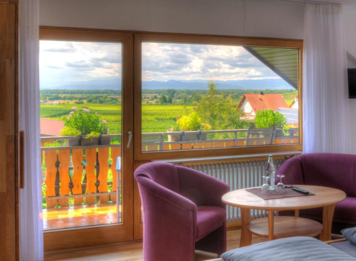 Bio Hotel Haus Am Weinberg - Breisach am Rhein