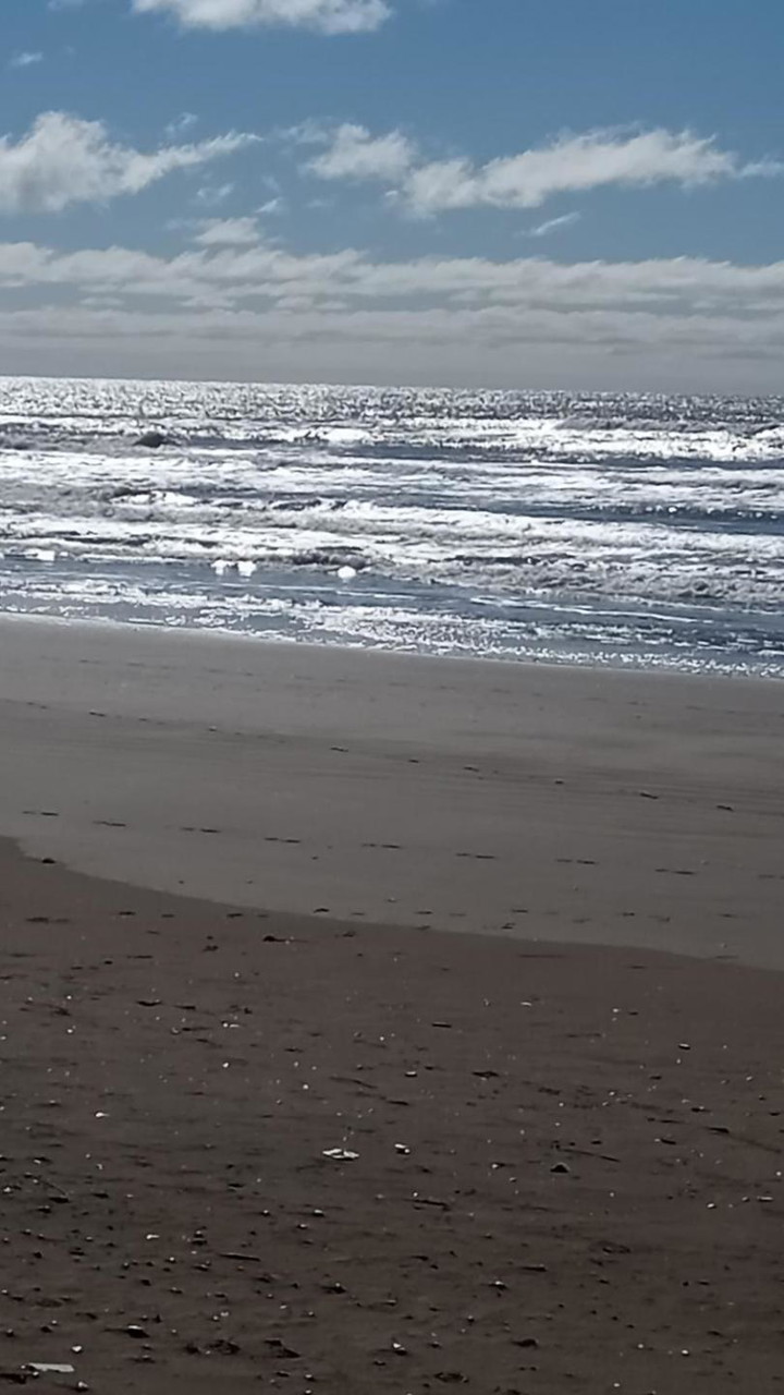 Puerto Ballena - Santa Teresita