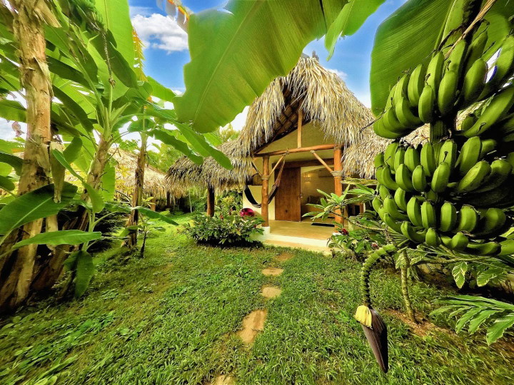 Casa Picaflor B&b- Playa Popy A 250m - Repubblica Dominicana