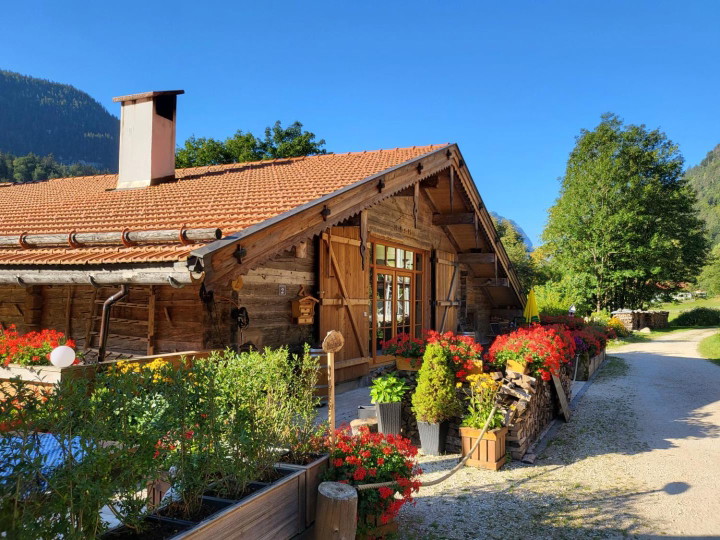 Nickis Bergcamp - Lofer