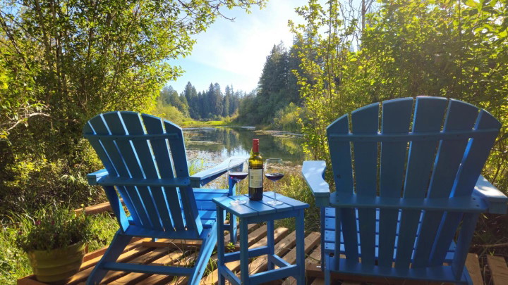 Alder Falls - Modern Woodland Retreat With Lake Access, Ac, Fireplace, Patio, Sleeps 4 - Shelton, WA