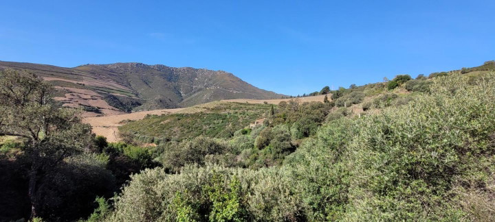 Mas Del Roumany - Banyuls-sur-Mer