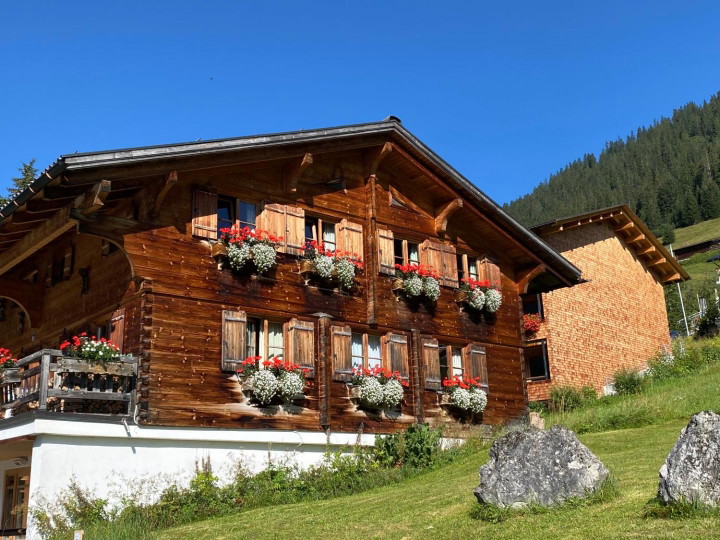 Zug503 Apartments - Lech Am Arlberg - Lech