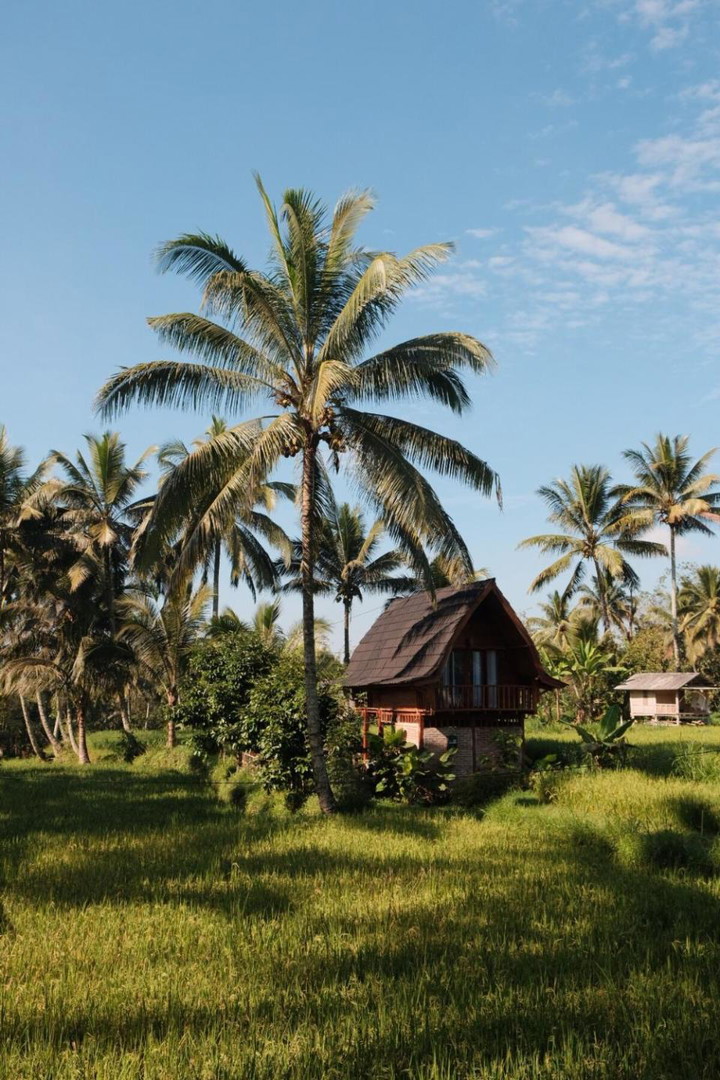 Tetebatu Rice Field Bliss - Lombok