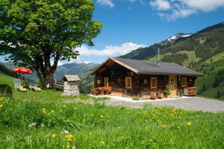 Hungarhub Hütte - Kleinarl