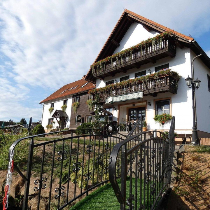 Hotel-pension Flechsig - Auerbach