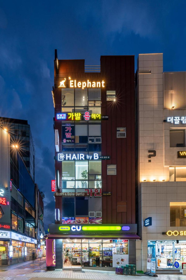 Elephant - Busan