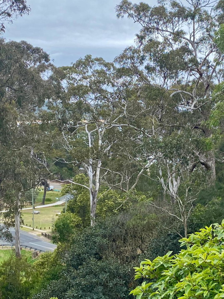 Tathra Views - Tathra
