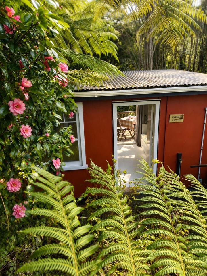 Fantail Valley - Raglan