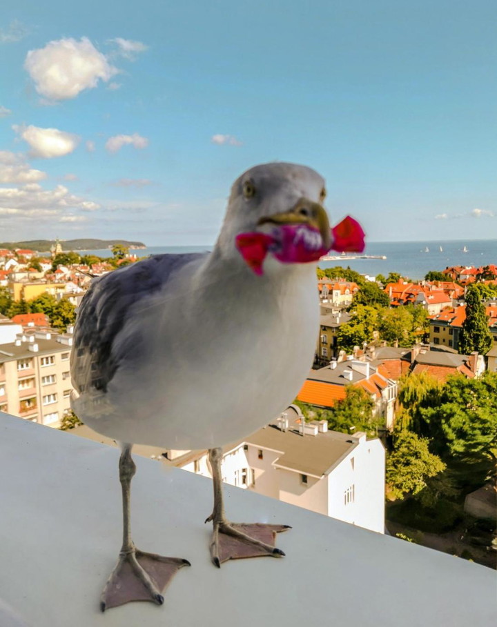 Pokoje Przy Plaży Z Widokiem Na Morze - Sopot