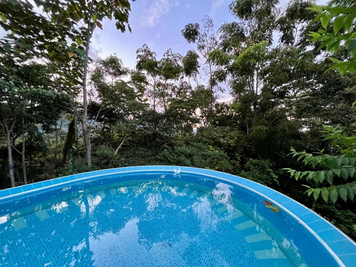 Jardín Secreto - Tarapoto