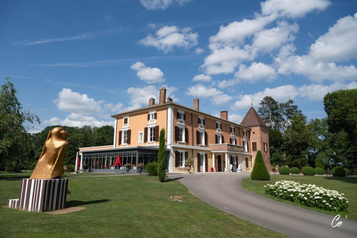 Hôtel Du Bois Blanc Domaine D'epeyssoles Georges Blanc - アン