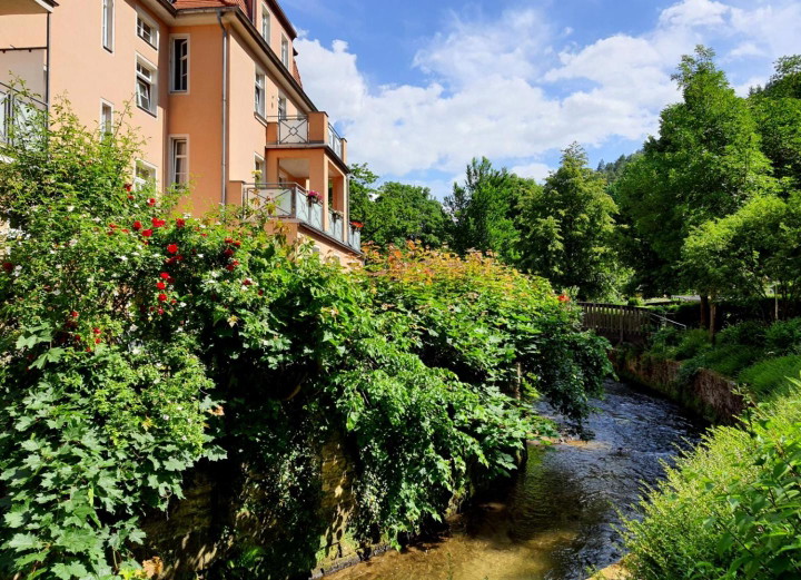 Arthouse Am Kurpark Bad Schandau - Bad Schandau