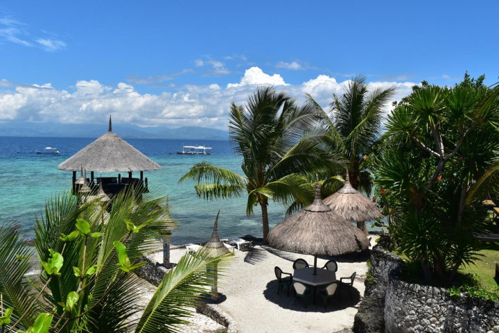 Dolphin House Resort Moalboal - Moalboal