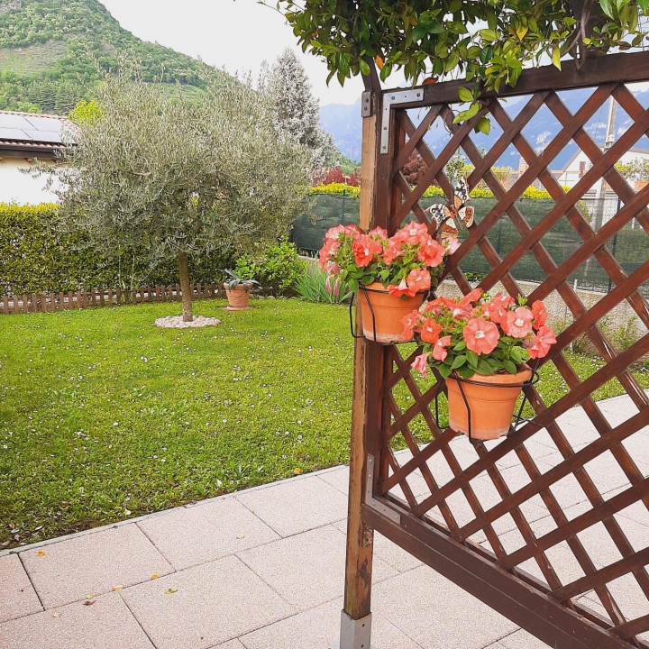 Il Pettirosso - Lecco