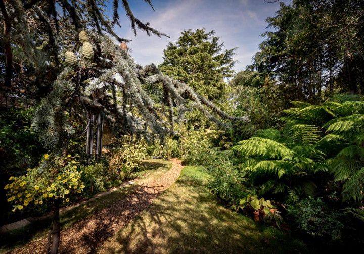 Ward Avenue B&b - Fareham