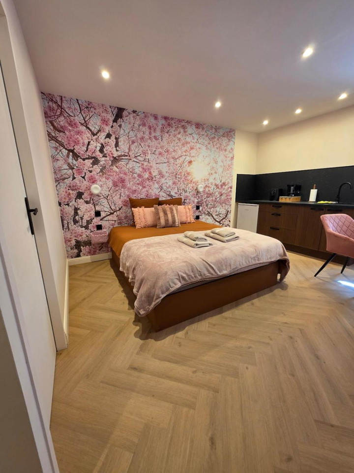 La Tête Dans Le Cerisier - Cv Châlons - Wi-fi - Châlons-en-Champagne
