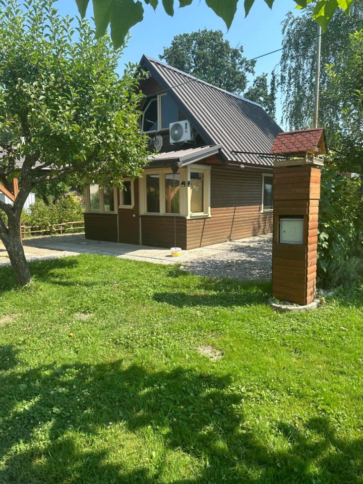 Močvirski Tulipan - Slovenia