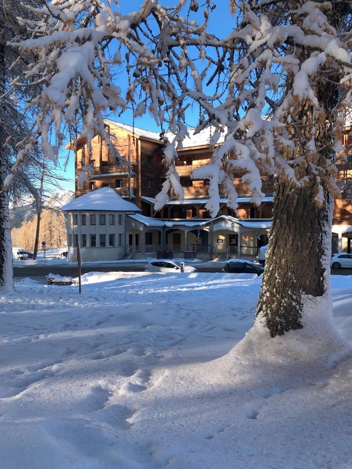 Adonis Valberg - Alpes-Maritimes