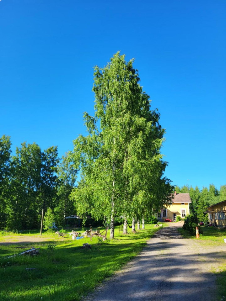 Old Village School - Finland