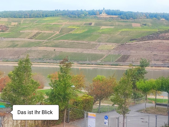 Rhein-suite Bingen Promenade Küche Niederwald Blick & Freie Tiefgarage - Bingen