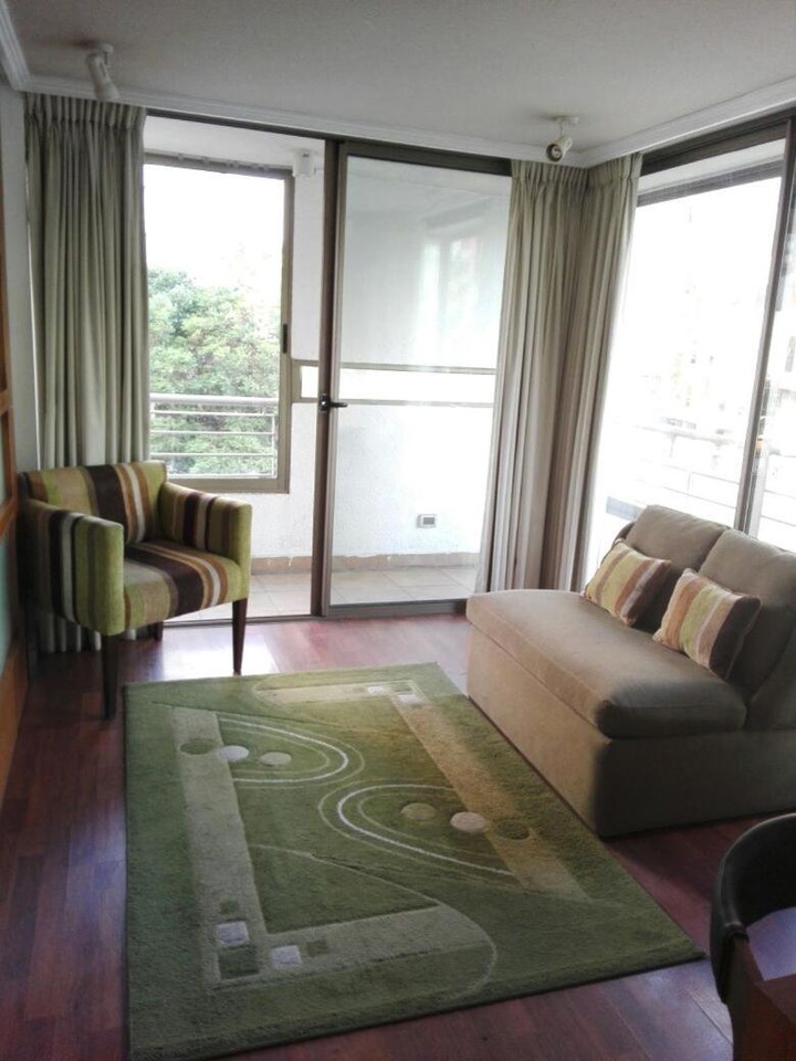 Austral Rentahome Barros Borgoño - Santiago