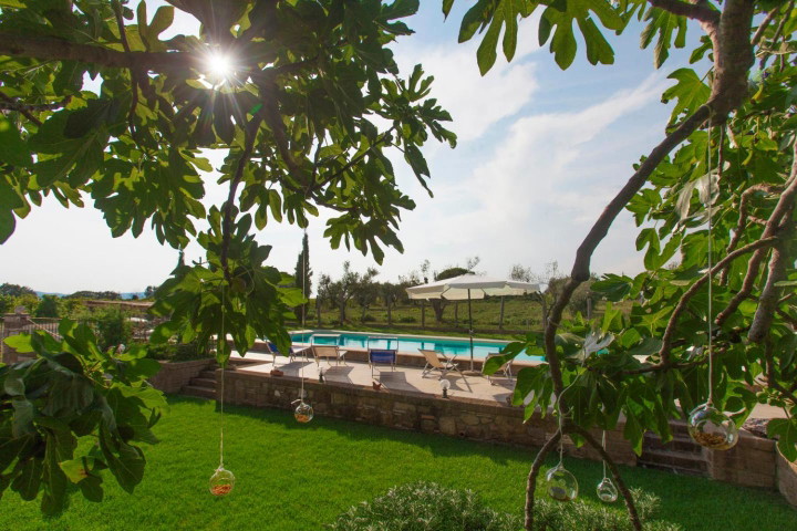 Ficolivo - Toscane