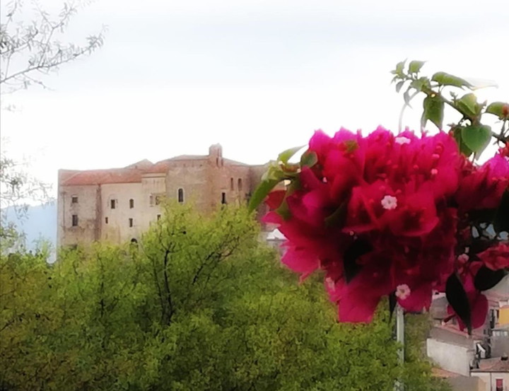 Ypsibloom - Castelbuono