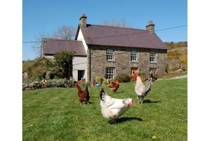 Nantgwynfaen Organic Farm Wales - Pembrokeshire