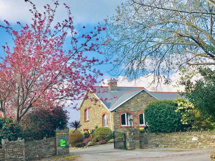 Niblick - Bantry