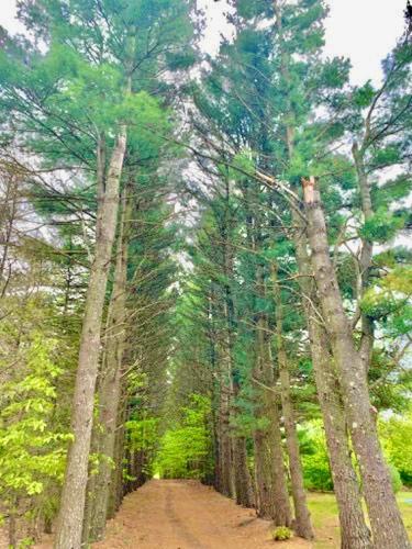 Byo Tent Or Rv To Camp Squid - Michigan