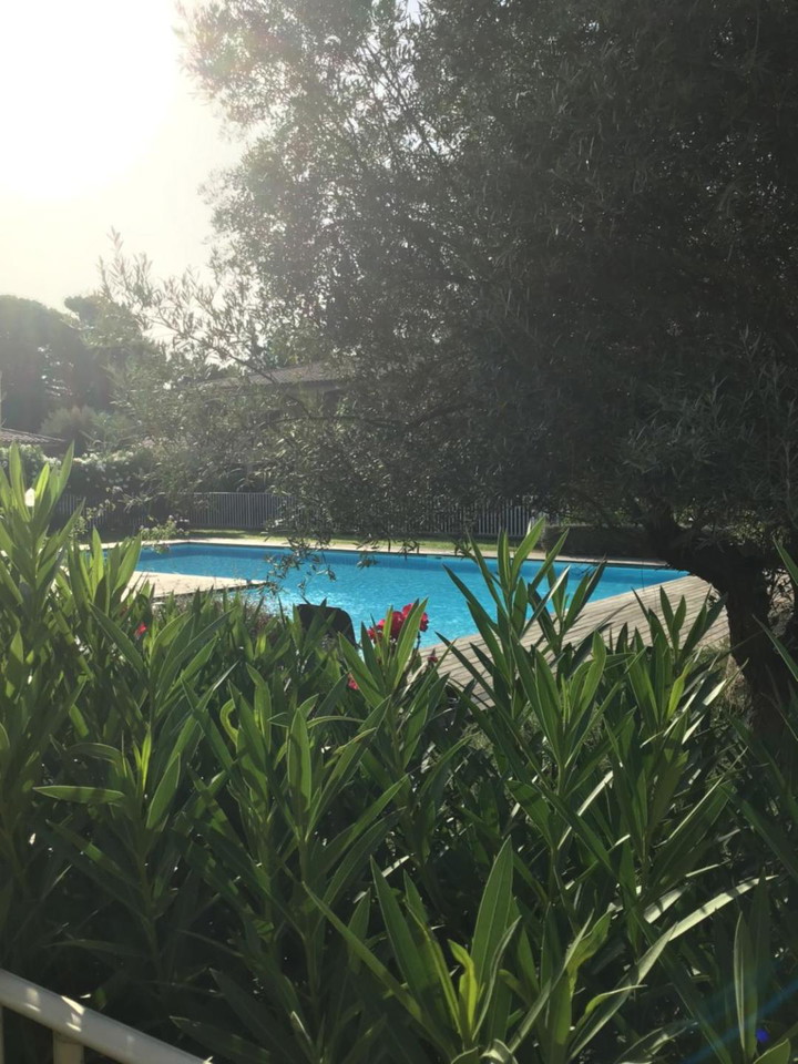 Appt T2 Standing Avec Piscine Et Terrasse - Corse-du-Sud
