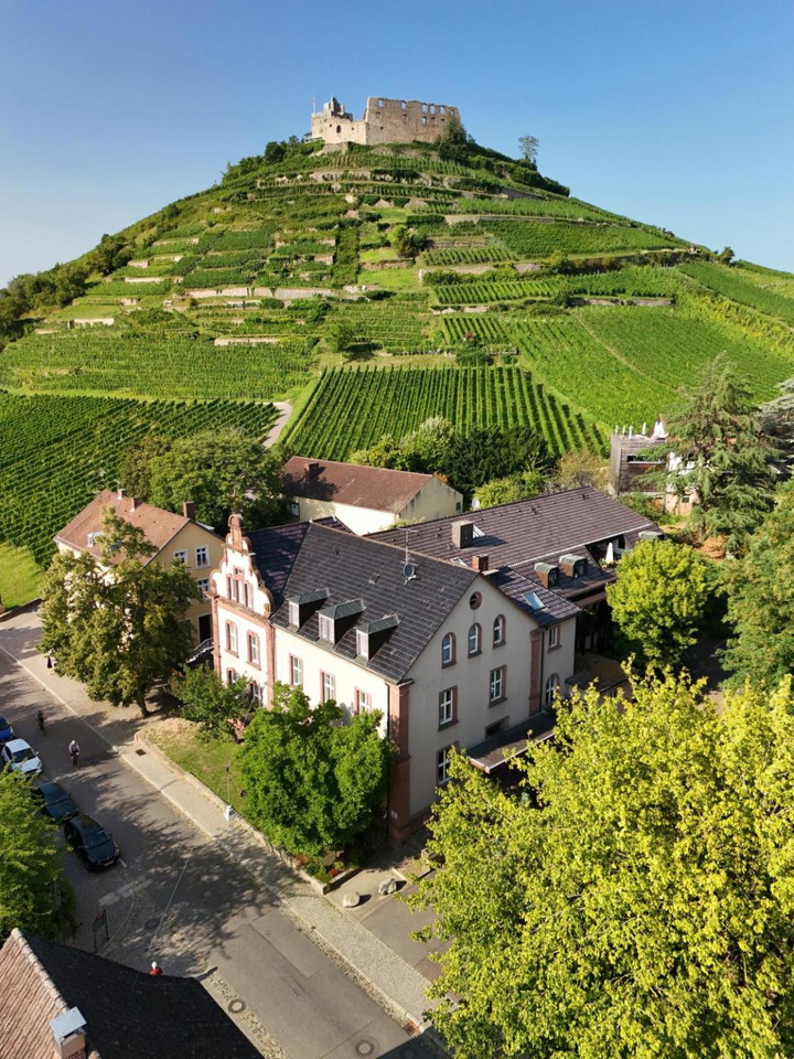 Goethe Schwarzwald Boutiquehotel - Heitersheim