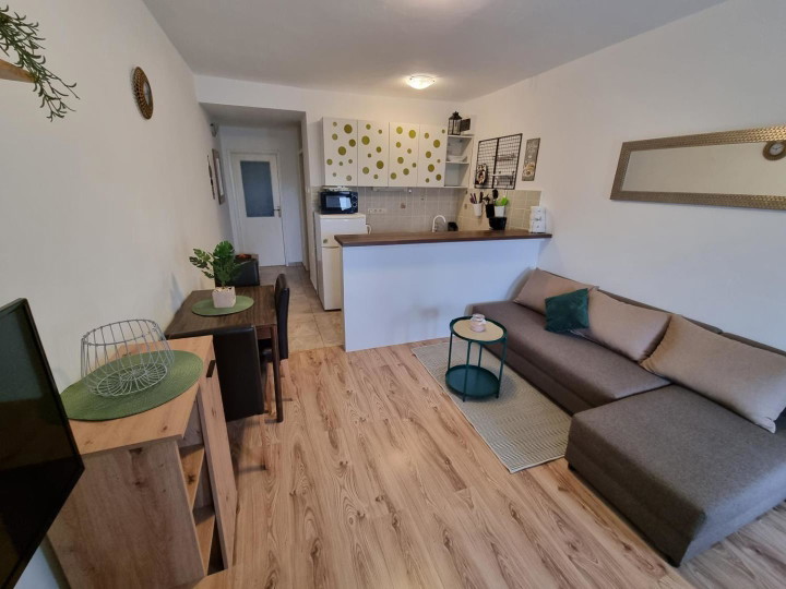 Ivana Apartment With Terrace - Crikvenica
