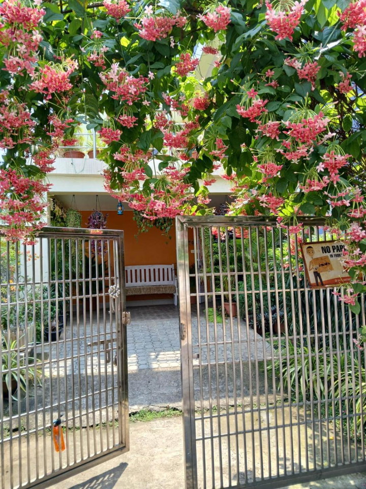 The Basic - Odisha