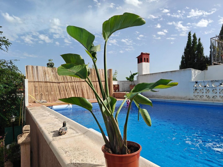 Charm Quiet Valencia Chalet With Private Pool - Llíria