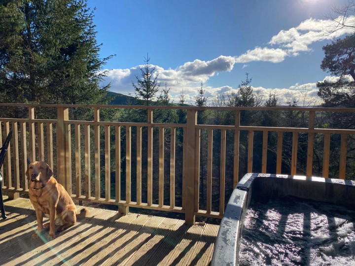 Acorn Lodge With Hot Tub - Dundee, UK