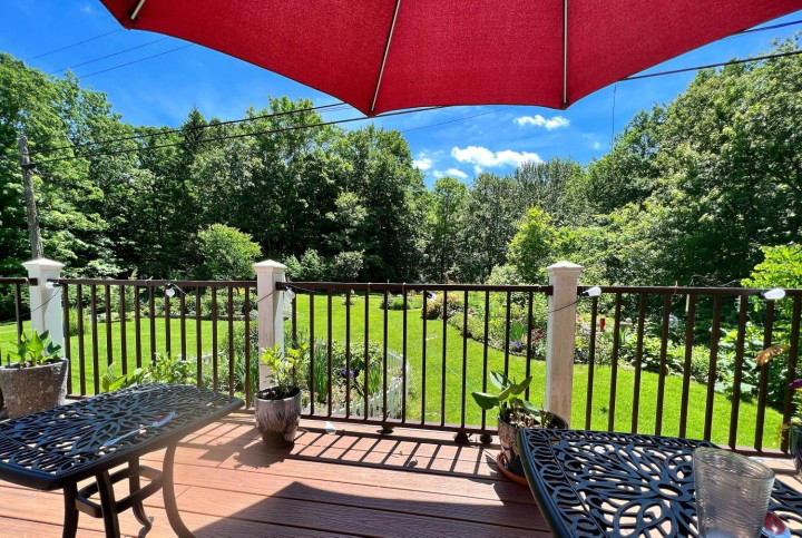 Mid-century Djs Dream Near Rhinebeck - Rhinebeck, NY
