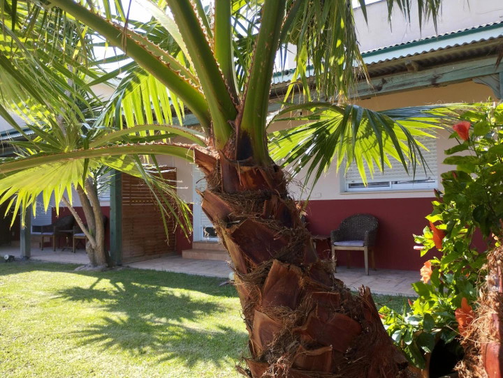Casablanca El Petit Hotel - Catalogne