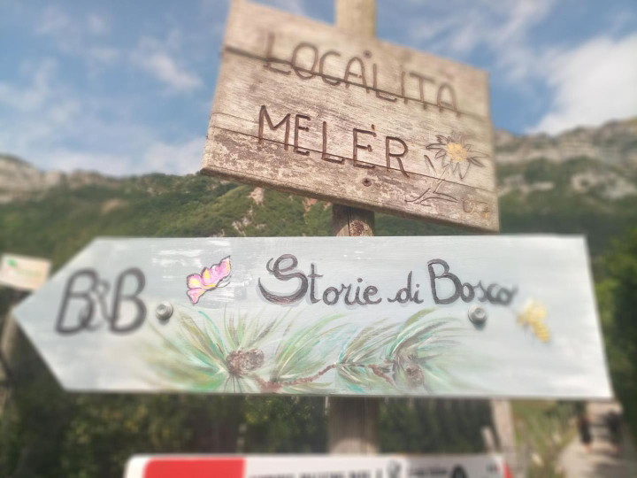 Storie Di Bosco - Folgaria