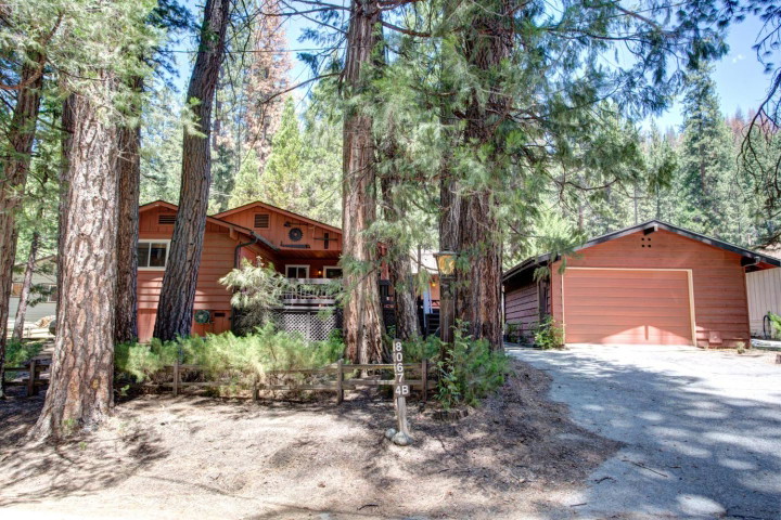 (4b) Mountain Memory At The Redwoods In Yosemite - California