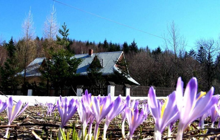 Góralska Czarcia Chata Pod Jałowcem - Korbielów